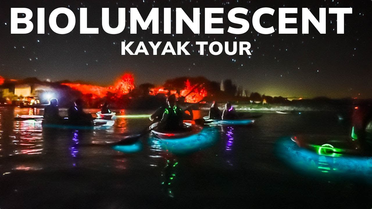 Witness the Bioluminescent Waters in Titusville, Florida! - YouTube