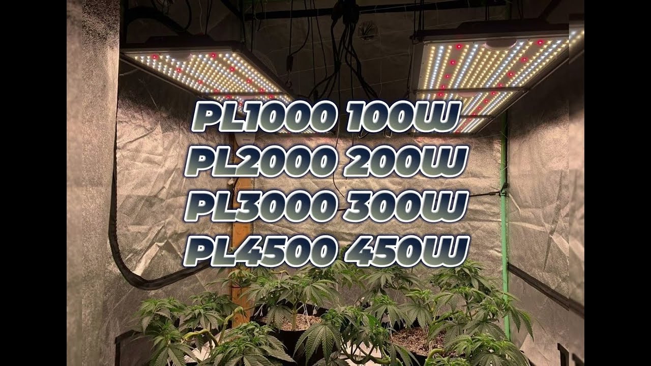 Phlizon PL1000 100W, PL2000 200W, PL3000 300W, PL4500 450W Full ...