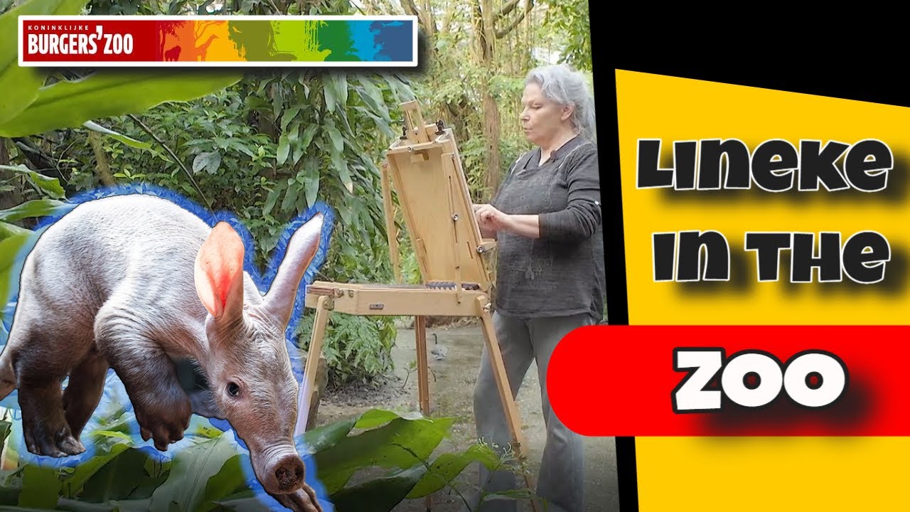 How to draw Wildlife at the Zoo - Part 1 The Aardvark ! - YouTube
