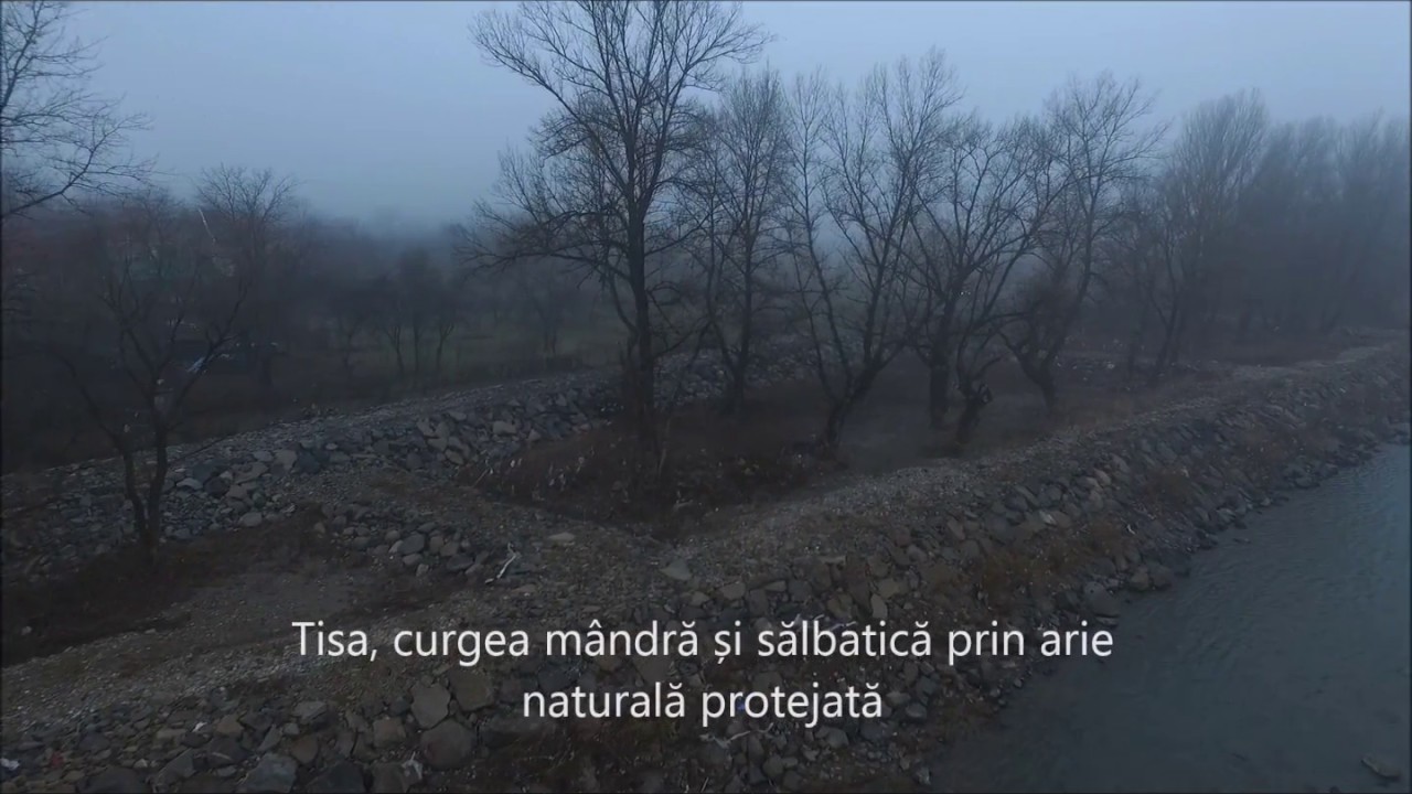 Râul Tisa transformat într-un canal - YouTube