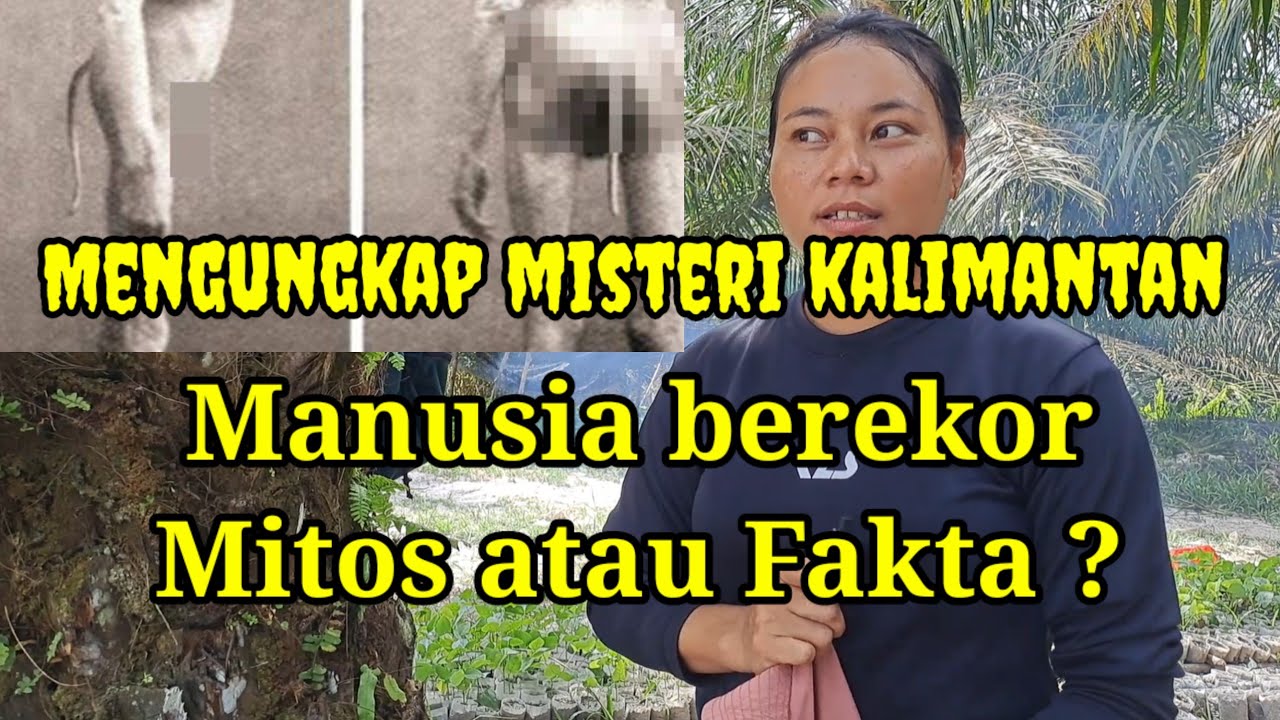 Manusia berekor dipedalaman kalimantan fakta ? - YouTube