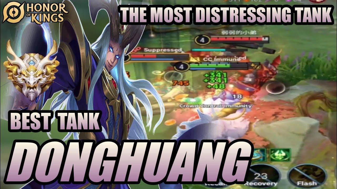 Donghuang Best Roamer Honor of Kings (HOK) Surprise Damage/Stun Anoying ...