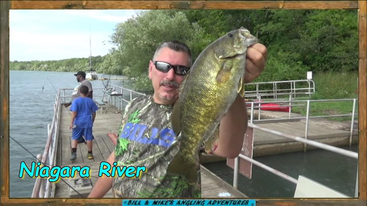 Summer Shore Fishing - Lower Niagara River - YouTube