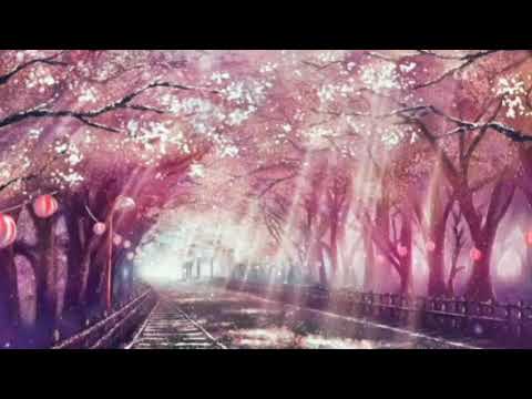 Japanese relaxing song | Yume to hazakura | Dreams and Cherry Trees in ...