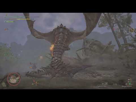 Flowfern and the Wyvern Egg. - YouTube