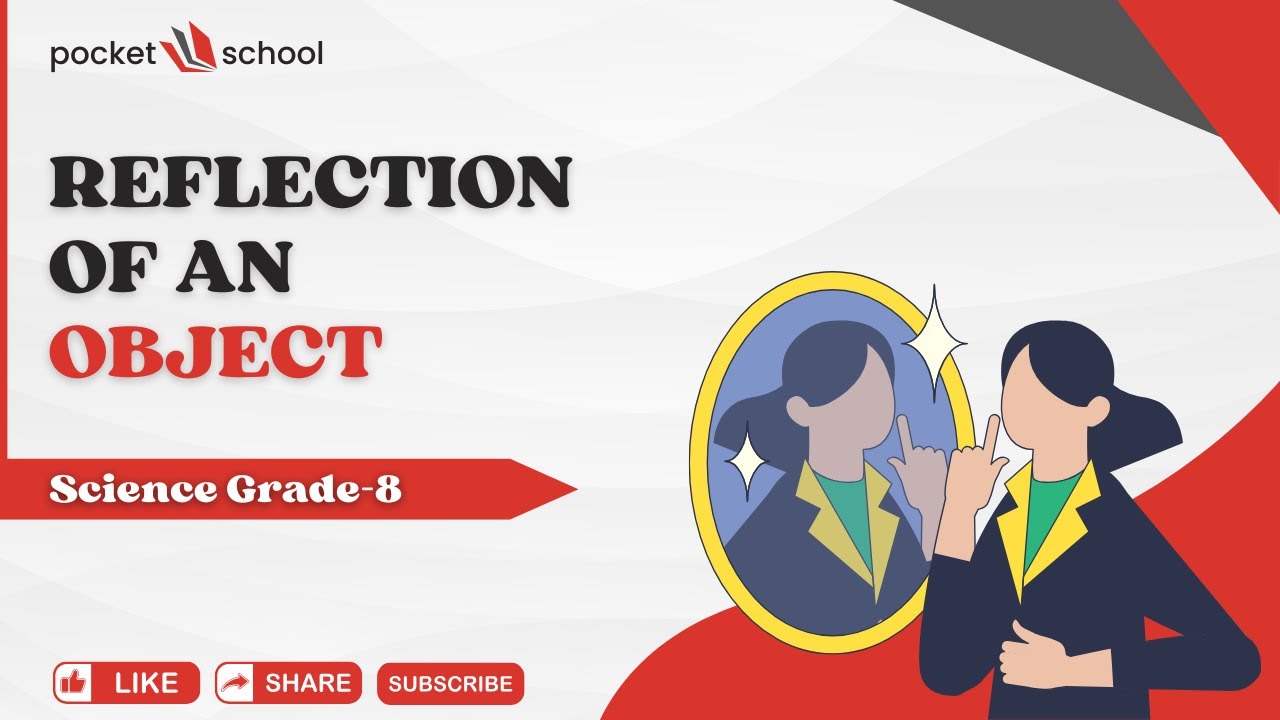 Mirror, Mirror on the Wall! 🌟 Understanding Reflection of Objects ...