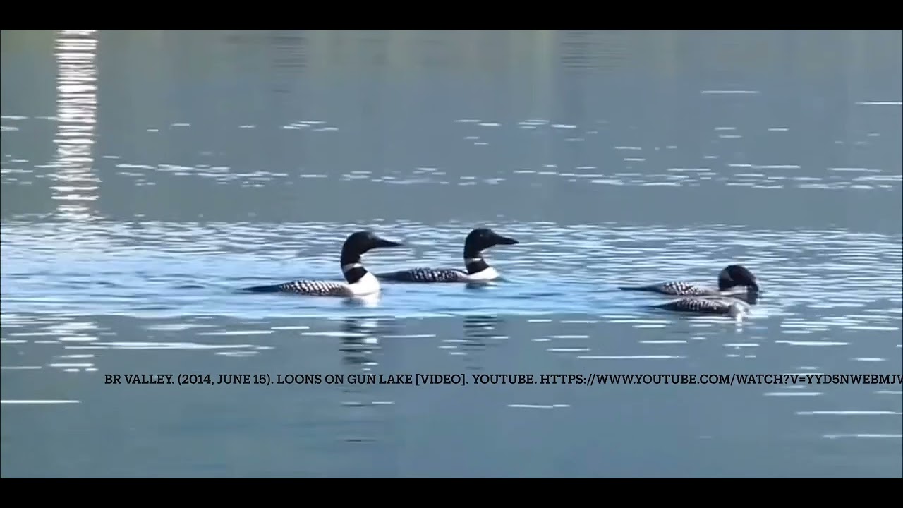 Save the Loons! Group 3 - YouTube