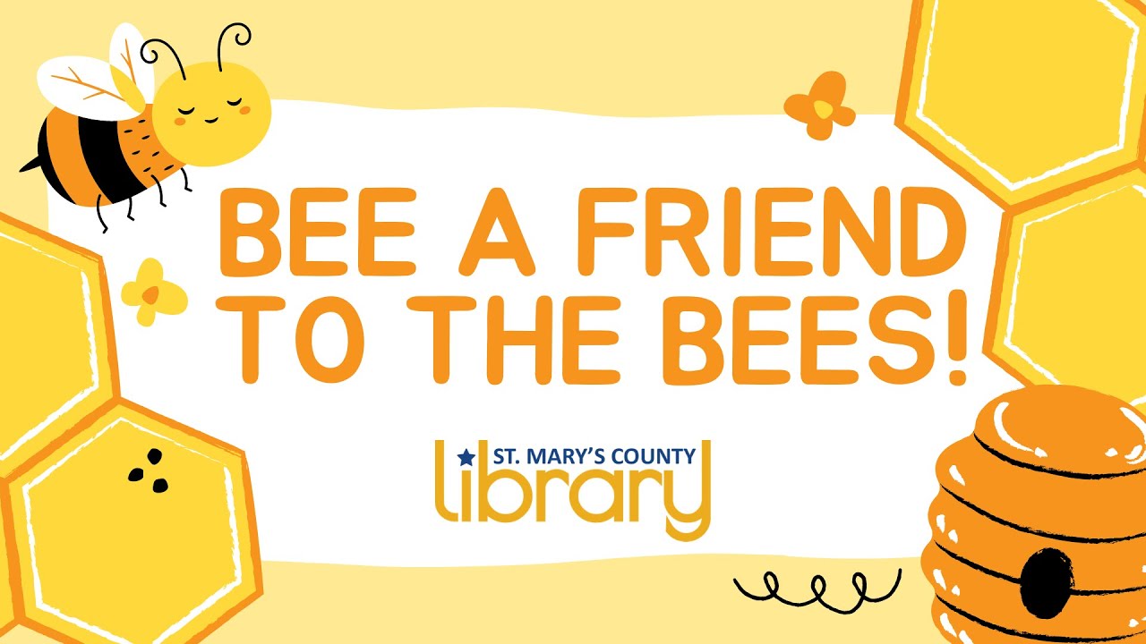 Bee a Friend to the Bees! Part 2 - YouTube