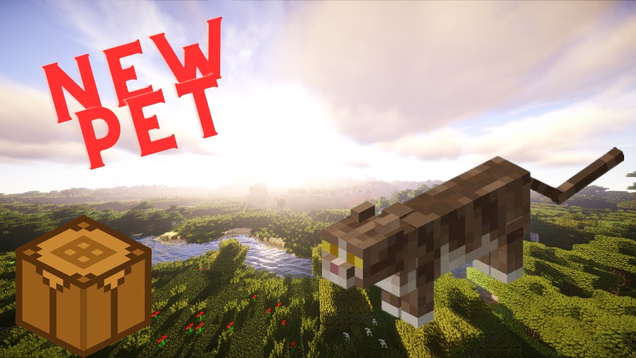 Minecraft Multiplayer Ep: 14 | New Pet!! - YouTube
