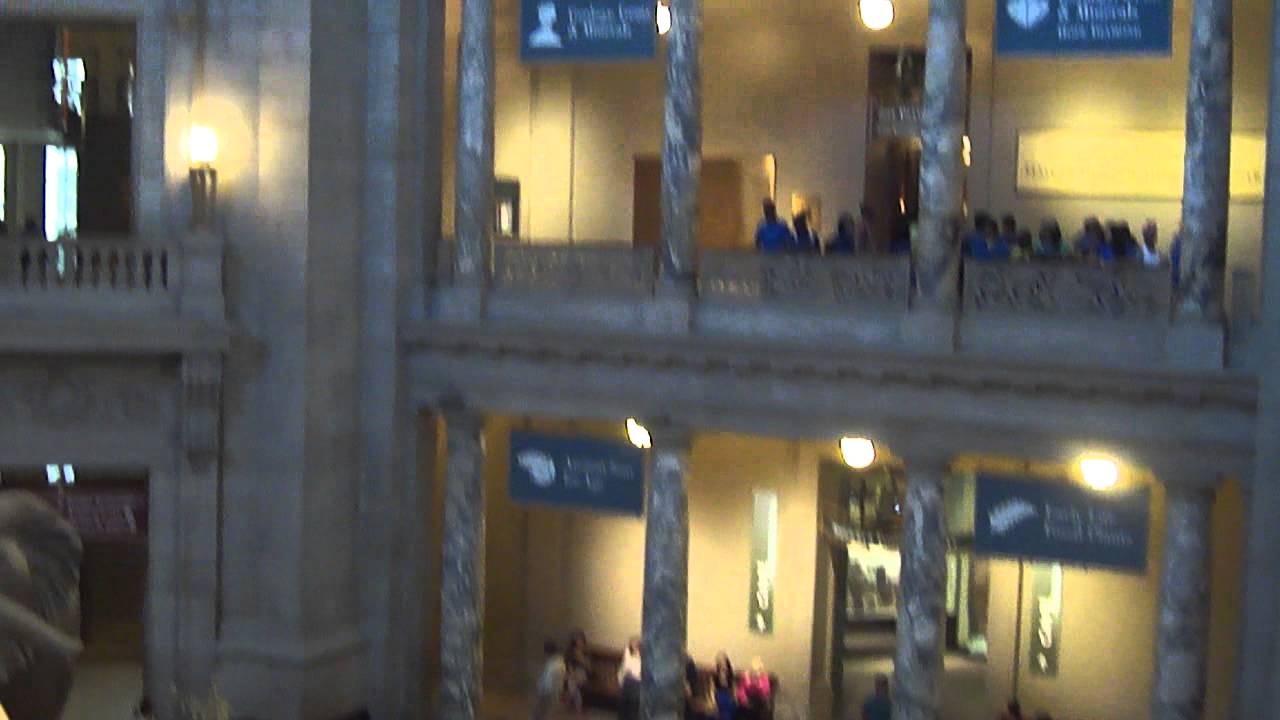 Elephant at the Rotunda - Smithsonian Museum of Natural History - YouTube
