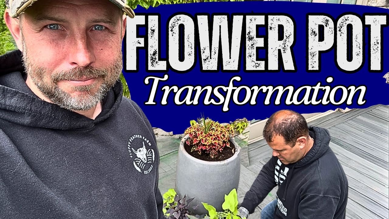 Spring Into Beauty: Flower Pot Transformation Update - YouTube