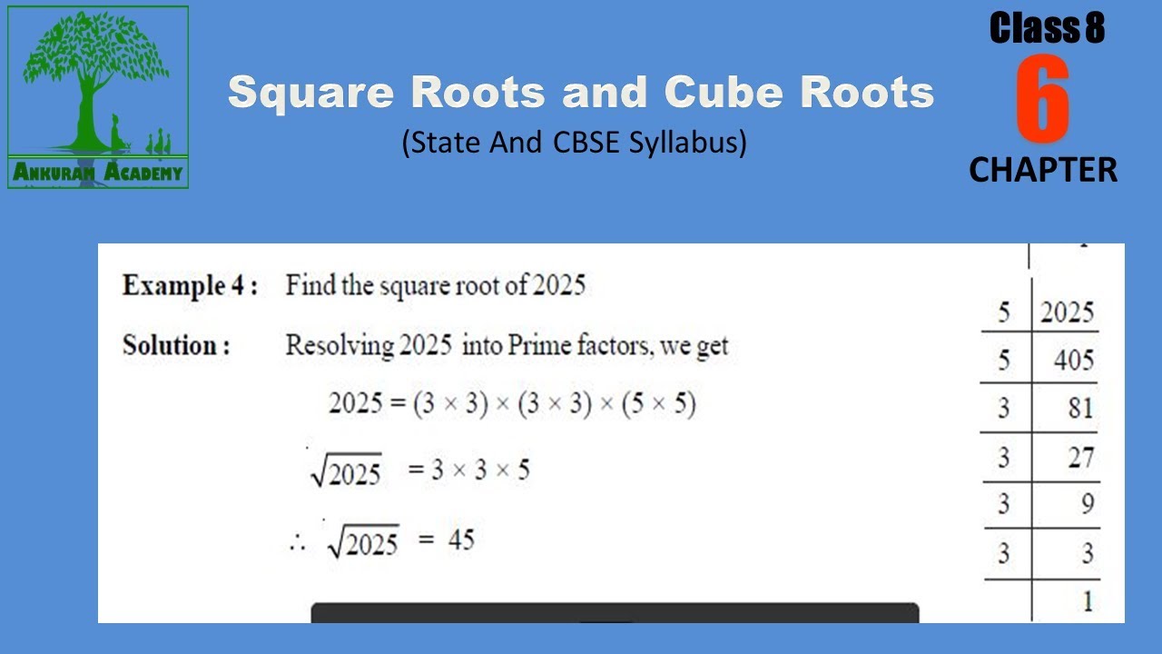 Class 8 Square Roots and Cube Roots State and CBSE Syllabus - YouTube