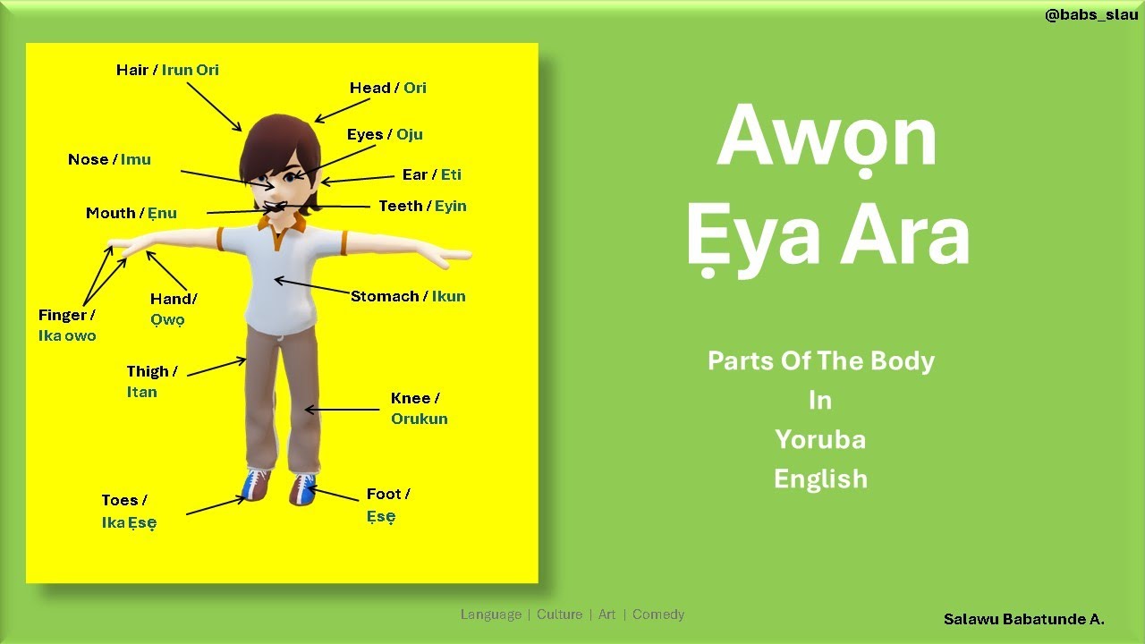 Parts of the Body in Yoruba and English | Awon Eya Ara |Comprehensive ...