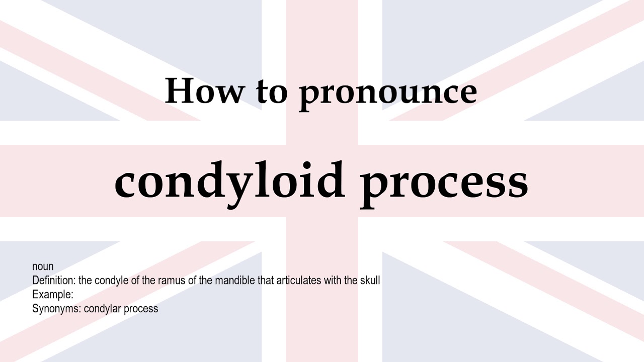 How to pronounce 'condyloid process' + meaning - YouTube