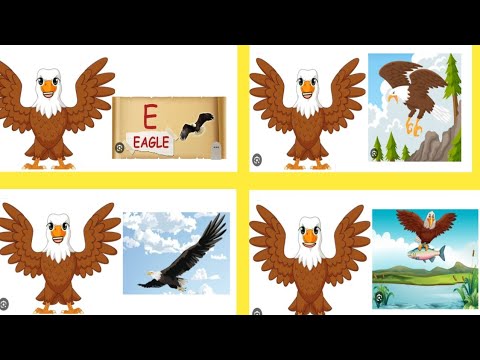 E for Eagle l Eagle story l kids educational video l kids learning ...
