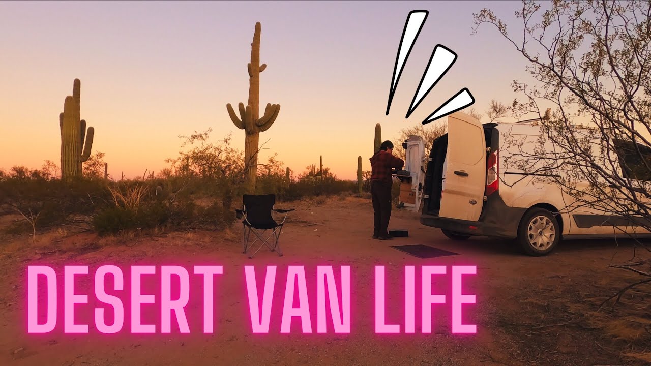 Van Life in the Desert with the cactus - YouTube