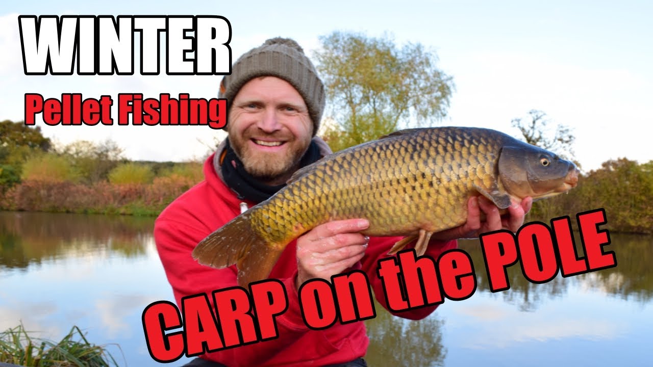 SOFT PELLET FISHING ... CARP on the POLE | Winter Fishing - Rob Wootton ...