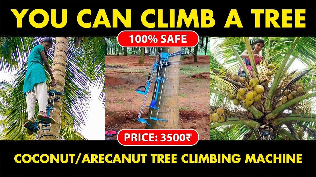 Coconut Tree Climbing Machine Arecanut Tree Climbing Machine YouTube Coconut Tree Climbing Machine Arecanut Tree Climbing Machine YouTube