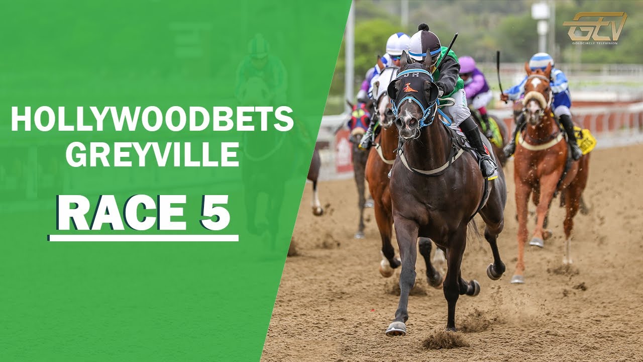 20220403 Hollywoodbets Greyville Race 5 won by CAT DADDY - YouTube