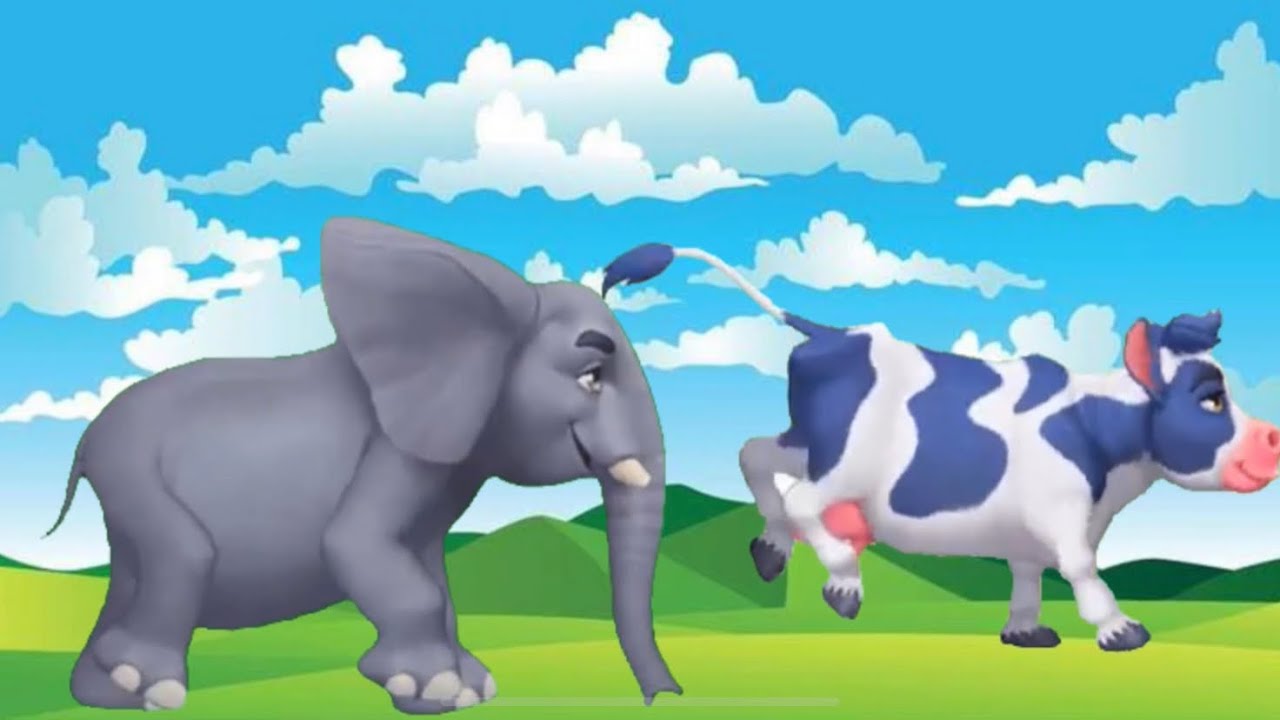 Wild animal chaos happens! - YouTube