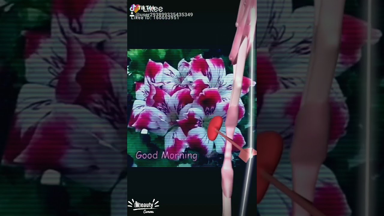 Rrrrrrrrrr(1) - YouTube