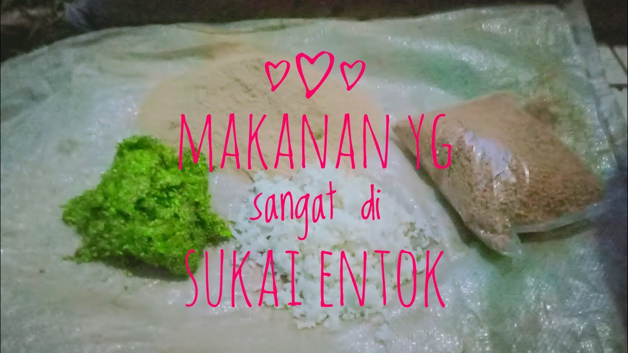 PAKAN ENTOK RAMBON CEPAT BESAR - YouTube