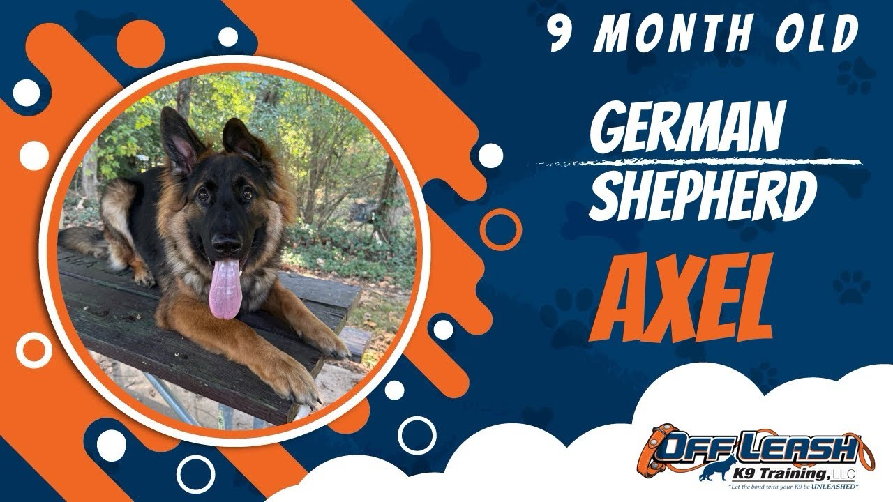 Axel’s Incredible Obedience Transformation - YouTube