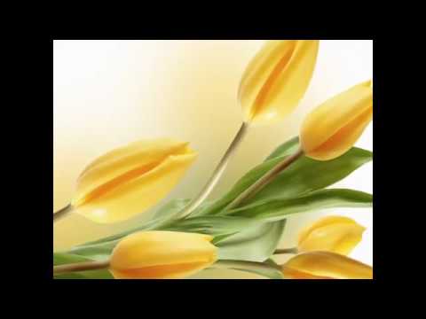 Желтые тюльпаны