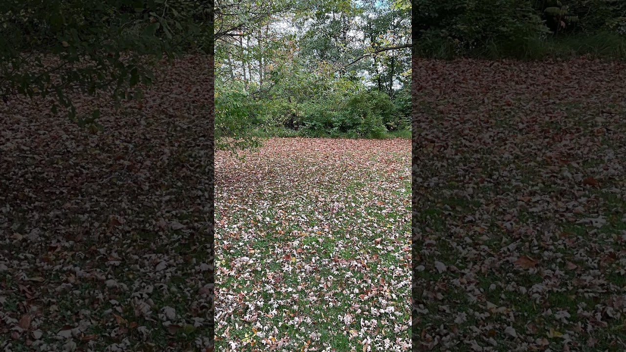 408. Coffee Break (express) Opposing God? You will lose that fight ...