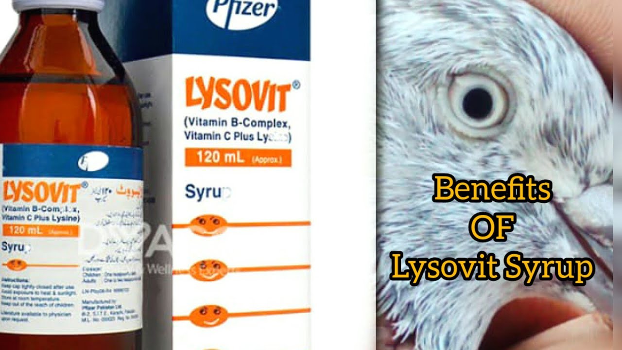 Lysovit Syrup For Pigeons | Lysovit Syrup Kabootaron Ko Q Dena Chahye ...