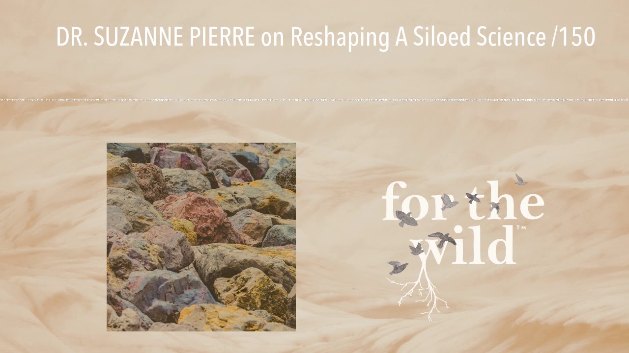 DR. SUZANNE PIERRE on Reshaping A Siloed Science /150 - YouTube