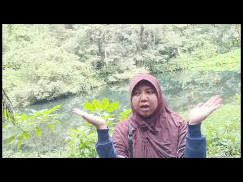 Telaga Biru Gunung Gede Pangrango, Cibodas "Info ada di Deskripsi😁" #GunungGede #Cibodas # ...