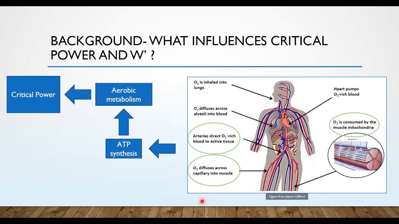 HIIT Training vs. MICT Training on Critical Power: Jessica Collins ...