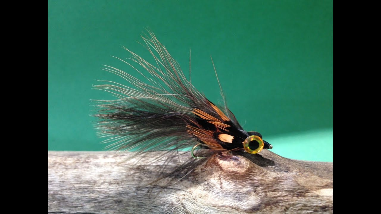 THE JIM DANDY FLY VIDEO - YouTube