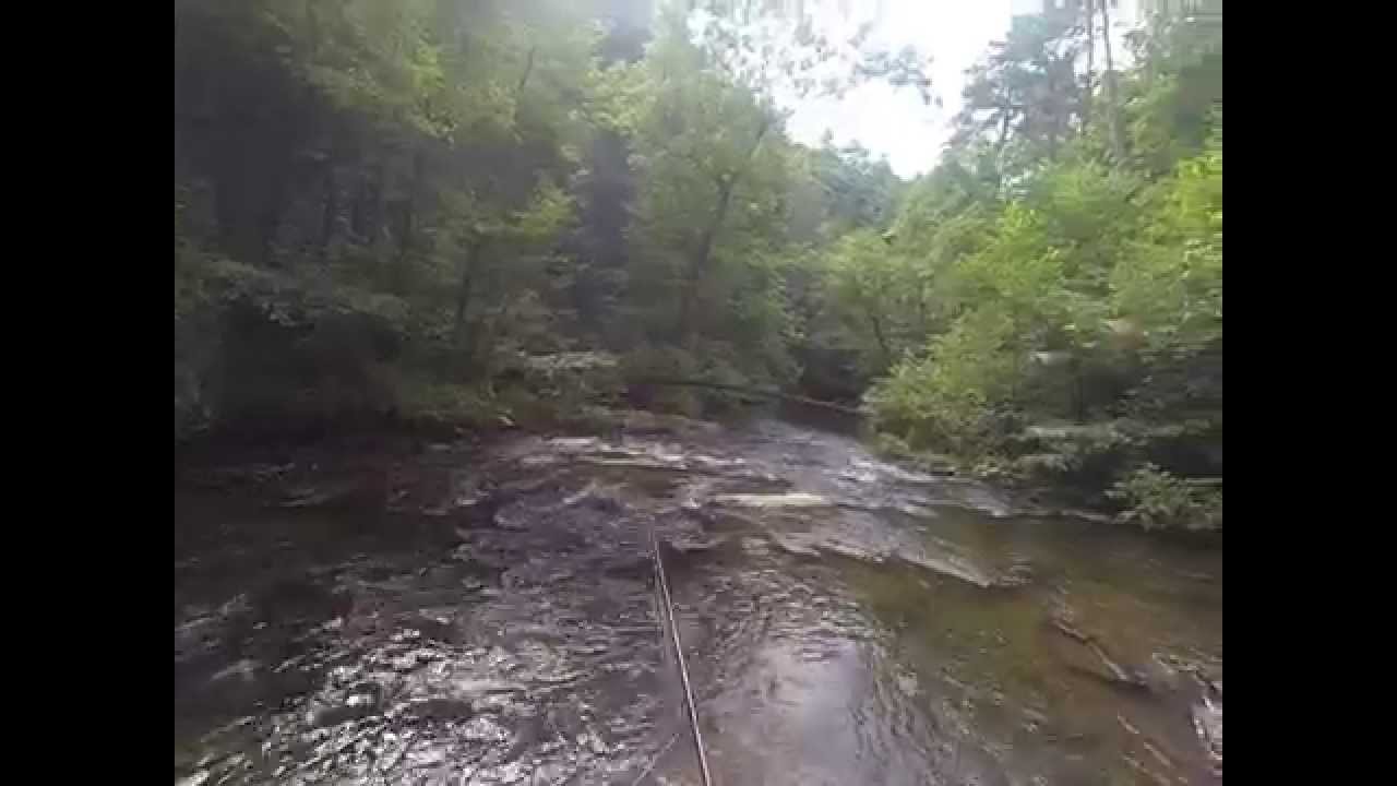 Anticlimactic Fishing on Jacks River - YouTube