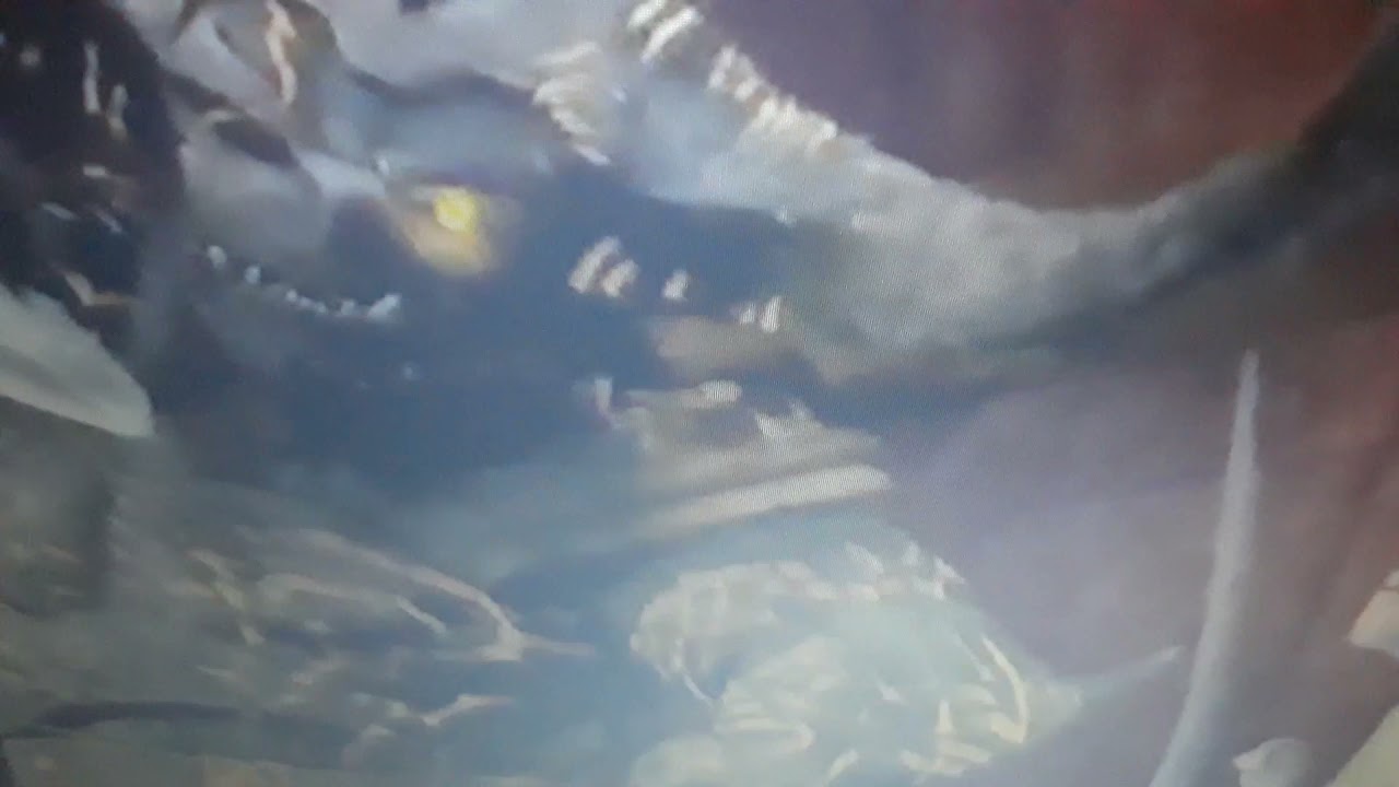 Barbara Conoce a Gummar - YouTube