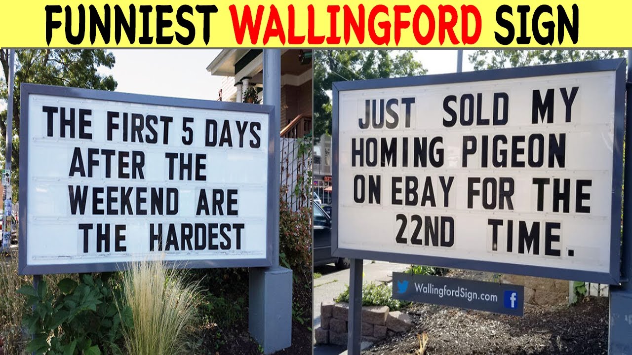 The Funniest Wallingford Signs That Will Make You Laugh Every Day ...