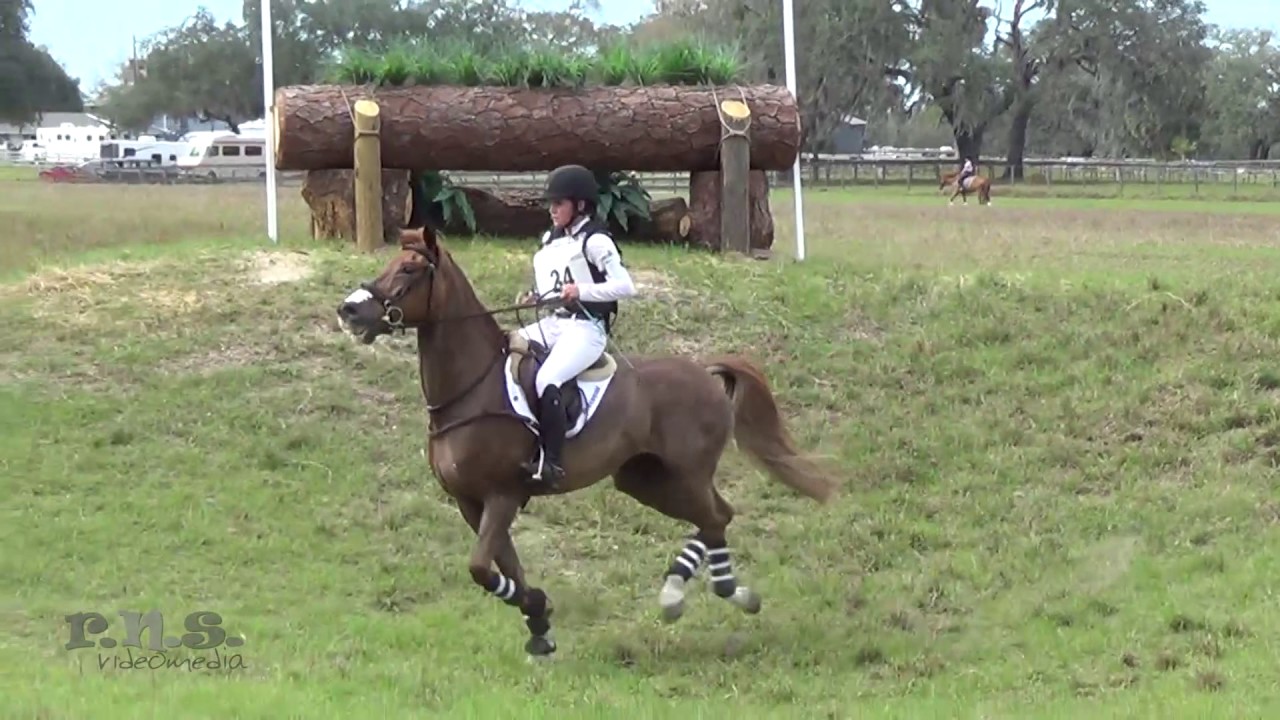 Margaret Stocker & Forrest Nymph Rocking Horse 3 Winter Horse Trials ...