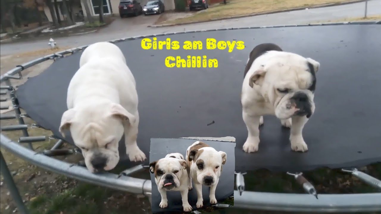 Girls an Boys just chillin - YouTube
