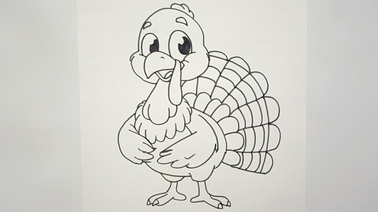 How to Draw Turkey Easy Step by Step | Turkey Bird Drawing | Sketch ...