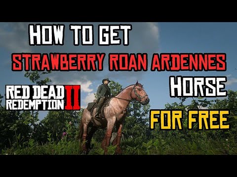 How to get Strawberry Roan Ardennes for free - RDR 2 - YouTube