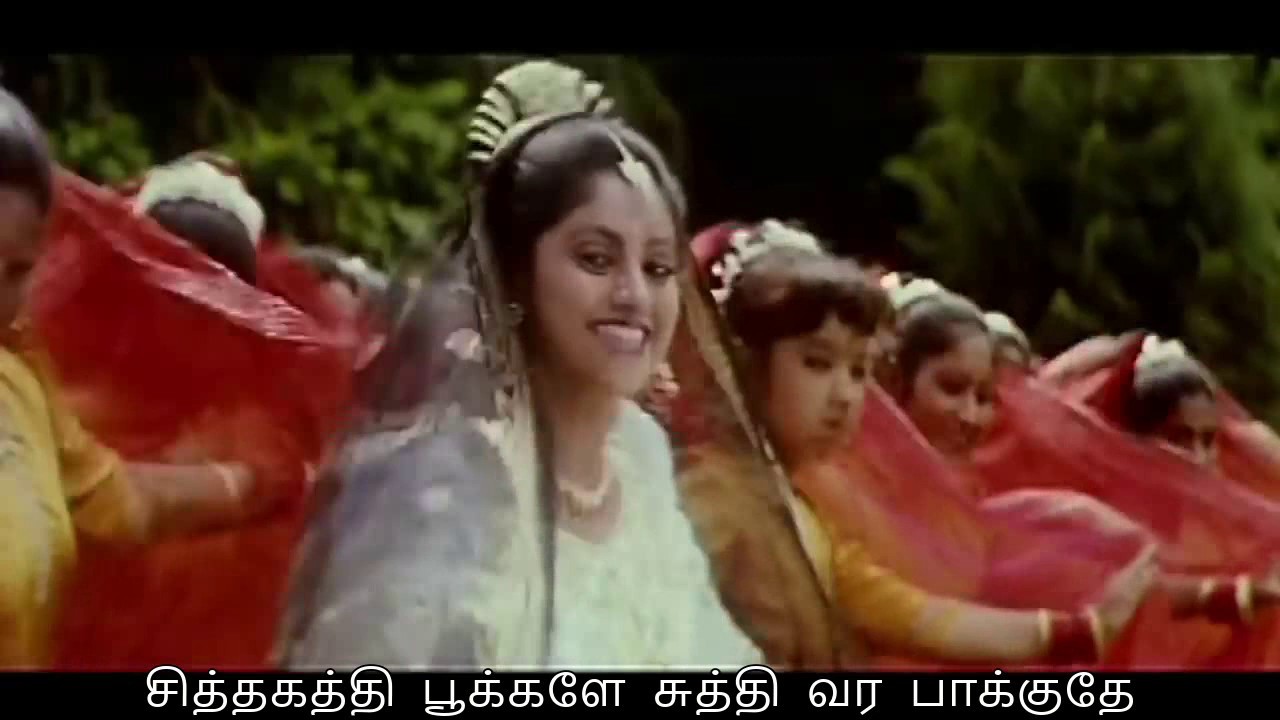 Sithagathi Pookale - Pallavi - WhatsApp Status - Lyrics - YouTube