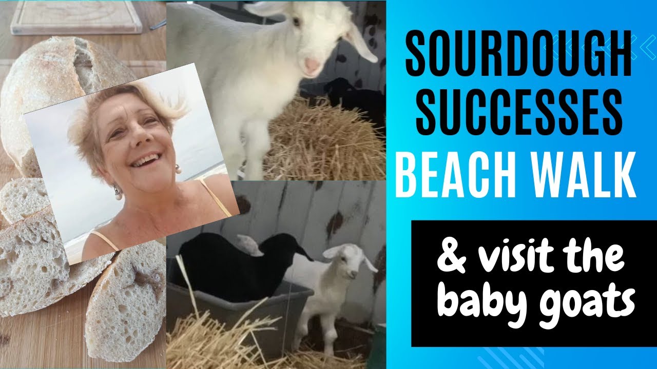 SOURDOUGH SUCCESS, BEACH WALK & VISITING ADORABLE BABY GOATS - YouTube