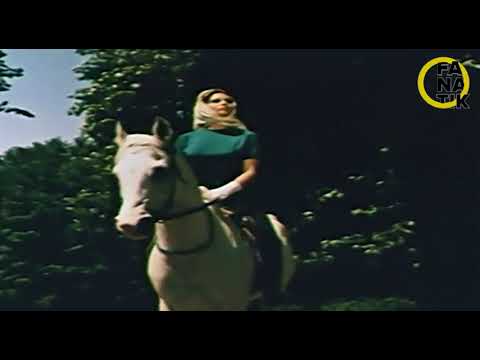 Zeki Müren-  Yiğidin Alnına Yazılan Gelir- Hep O Şarkı