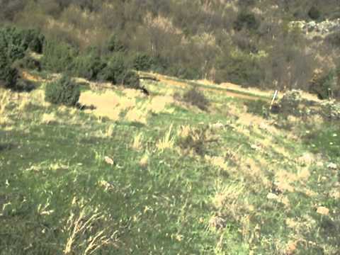 ΓΙΟΥΡΑ ΜΠΡΟΥΝΟ ( ΤΑ ΓΙΟΥΡΑ ΜΟΥ) - YouTube