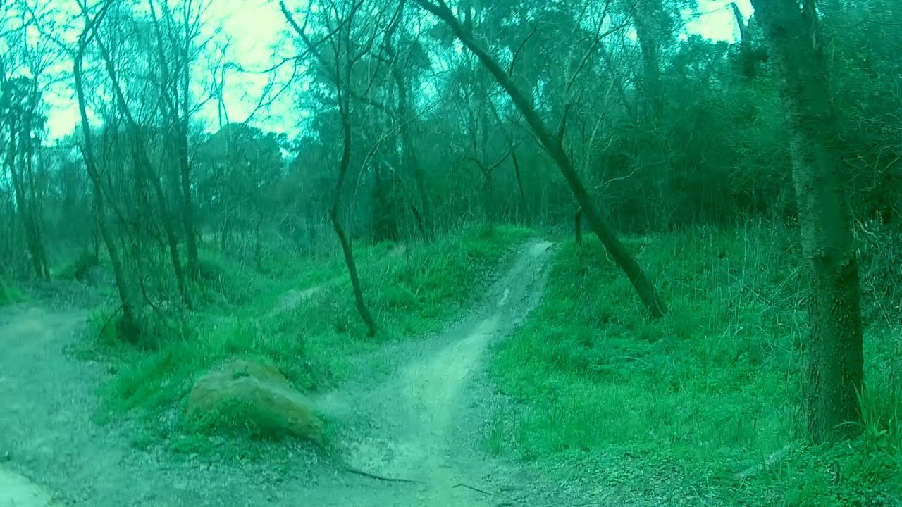 Mountain biking at Cypresswood Trails - Collins Park 2/23/20 - YouTube