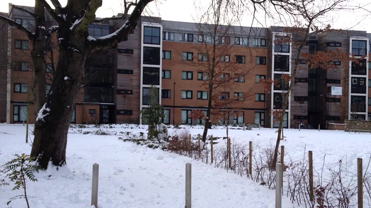 Endcliffe Village, Sheffield - YouTube