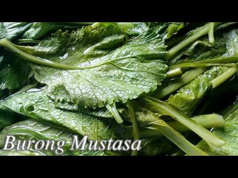 Burong Mustasa "Filipino Pickled Mustard Greens" l Paano Gumawa ng ...