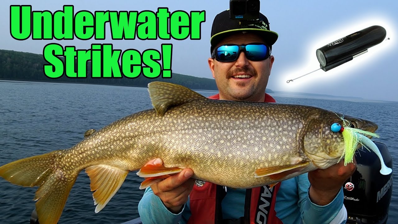 EPIC Underwater Strikes Jigging for Lake Trout with my Aqua-vu Strike ...