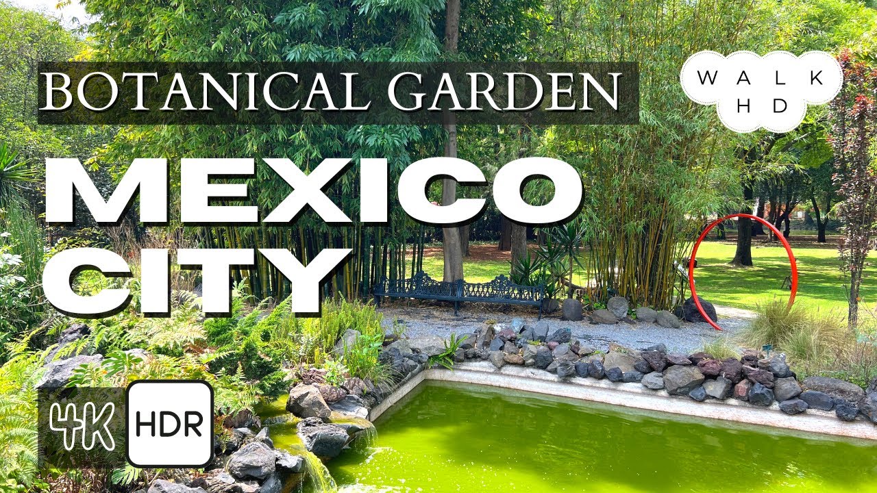 4K Walk in Botanical Garden MEXICO CITY (4K ultra HDR walk) - YouTube